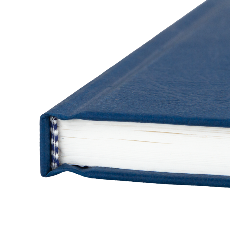 Business Planner - Blue